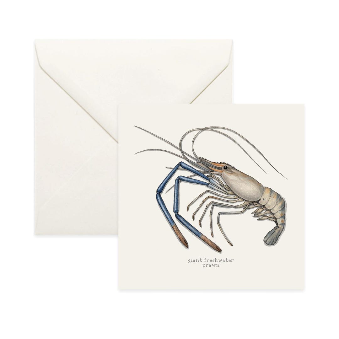 Shrimp & Prawn (2 of 2): Notecard / Thank You / Message Card ...