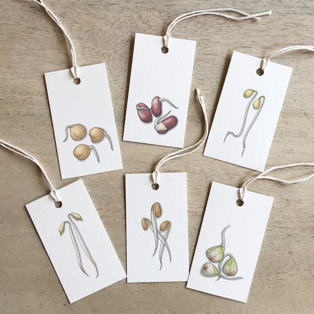 Sprouts & Microgreens: Sprouts Gift Tags / Party Favors / Birthdays ...