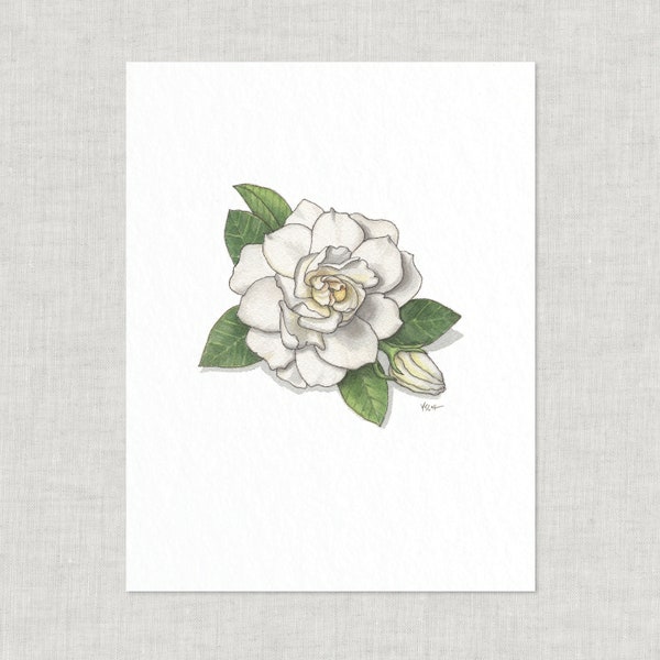 Gardenia Print - Etsy