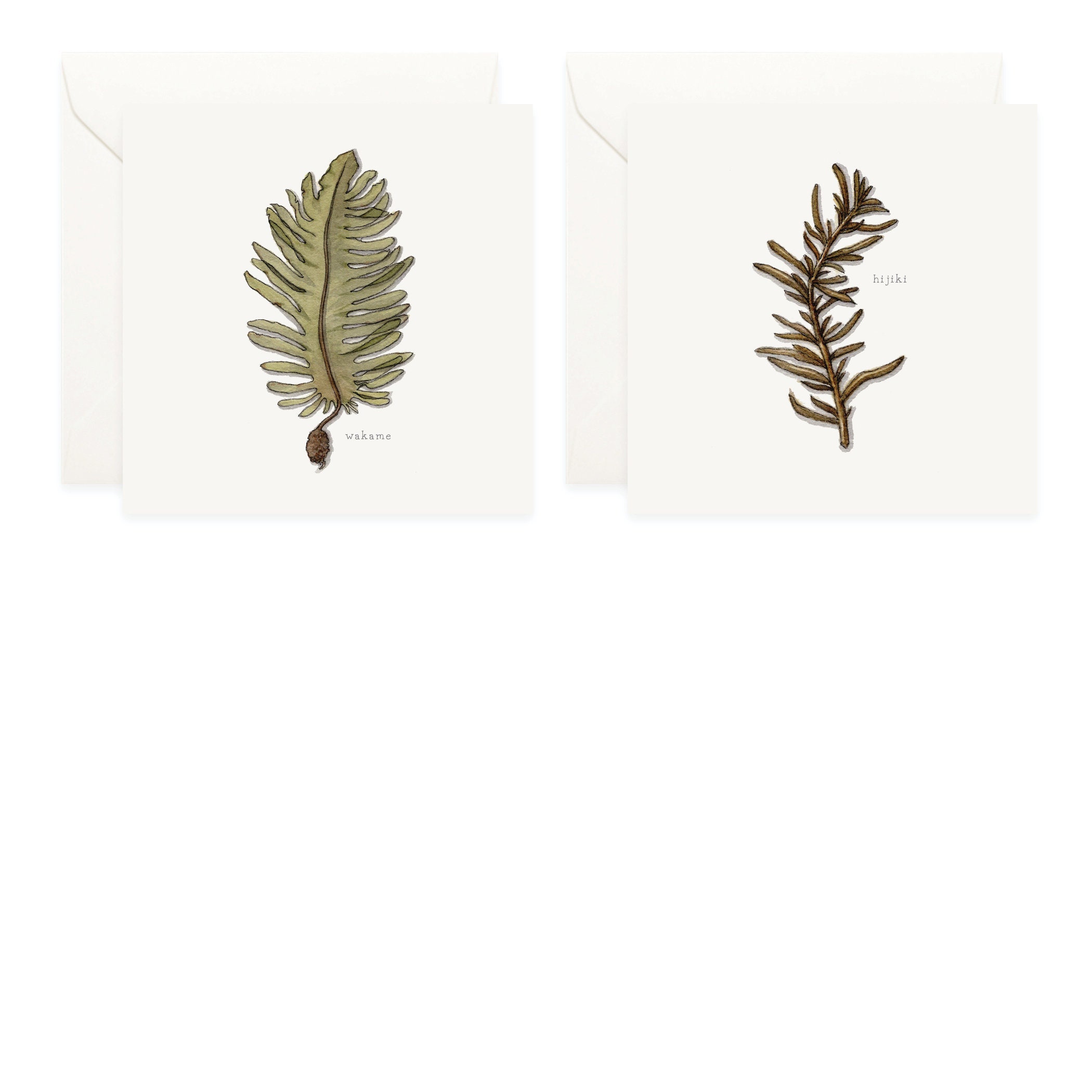Seaweed: Cards Box Set / Notecards / Flat Cards / Watercolor - Etsy