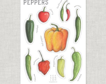 Stickers / Chile Peppers 01 / Scrapbooking / Arts & Craft / | Etsy