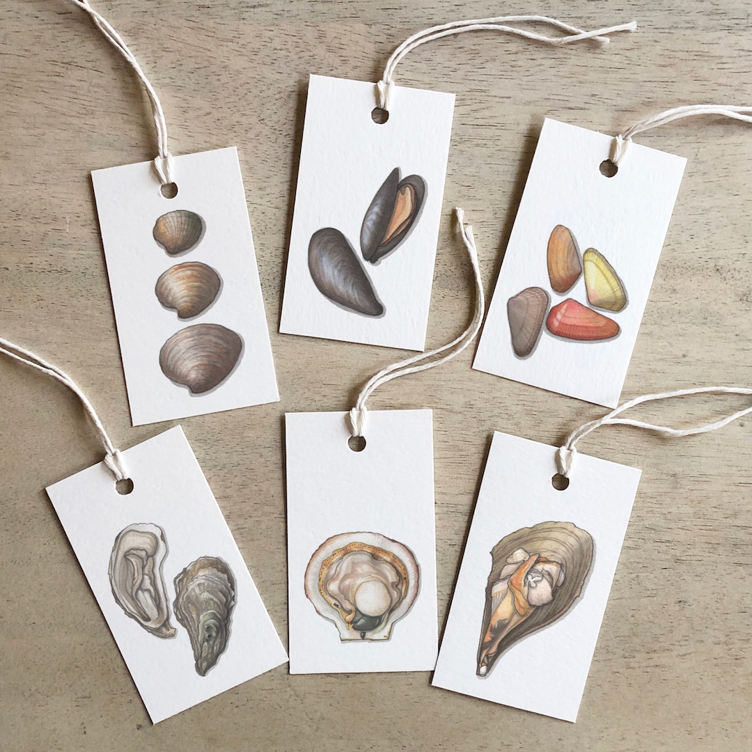 Bivalves: Gift Tags / Birthdays / Anniversary / Holidays / Hard Clam ...