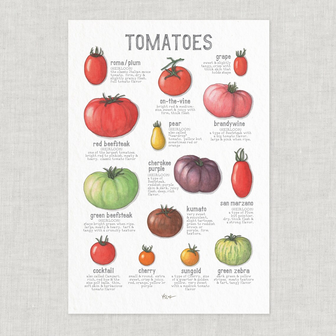 Tomatoes: Poster / Food / Vegetables / Fruit / Illustrations / Art ...