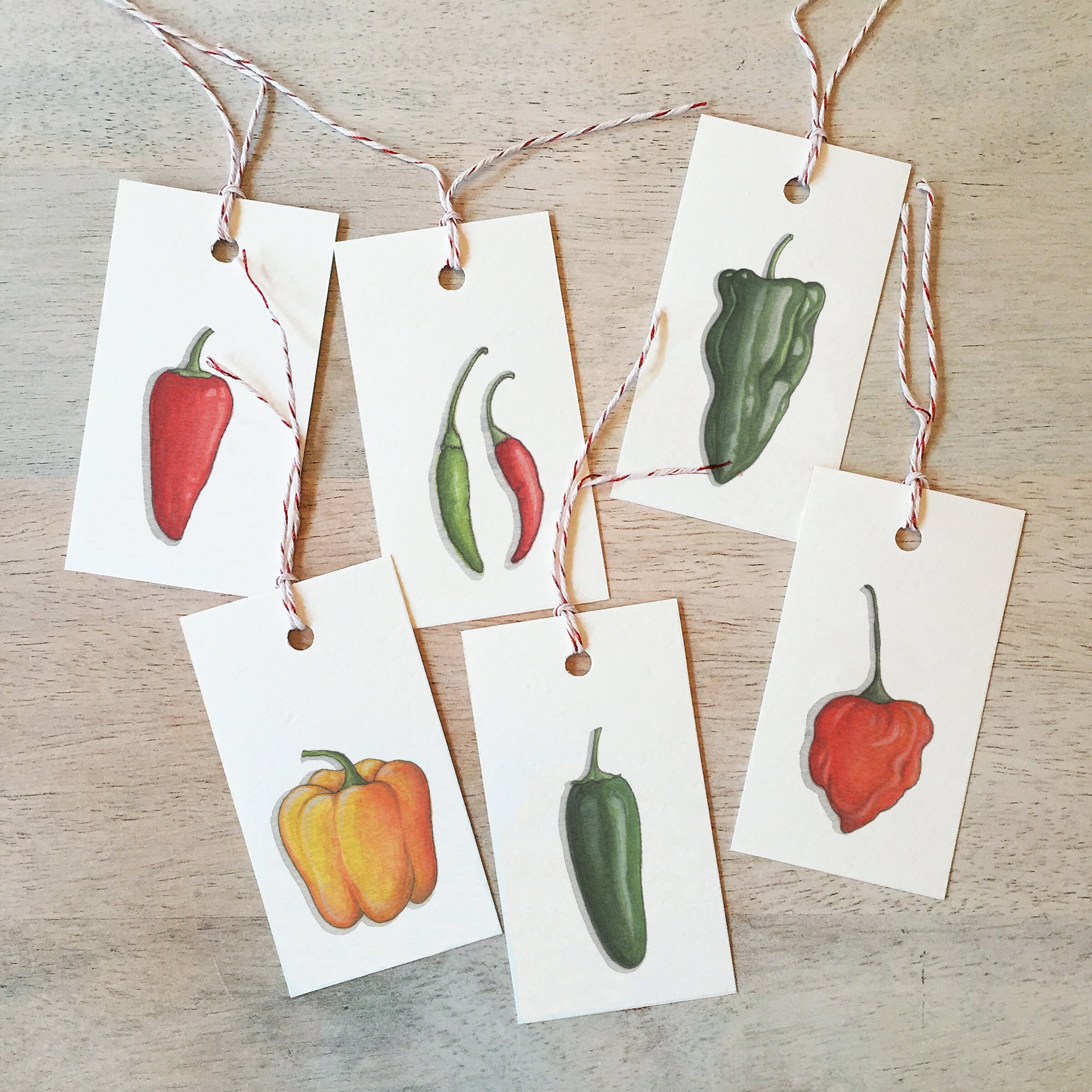 Chile Peppers: Gift Tags / Party Favors / Birthdays / - Etsy