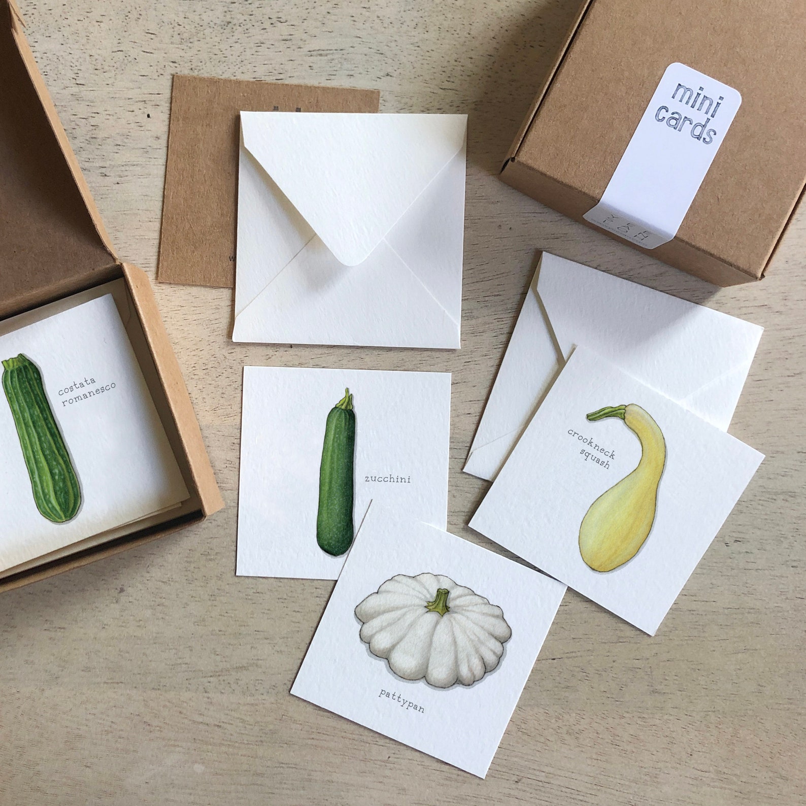 Squash (summer & Winter): Mini Cards Box Sets - Etsy