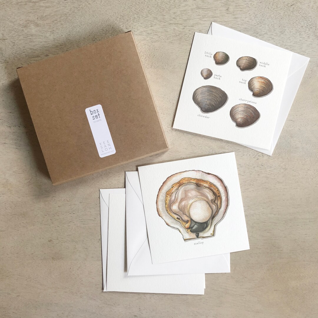 Bivalves: Cards Box Set / Notecards / Flat Cards / Watercolor ...