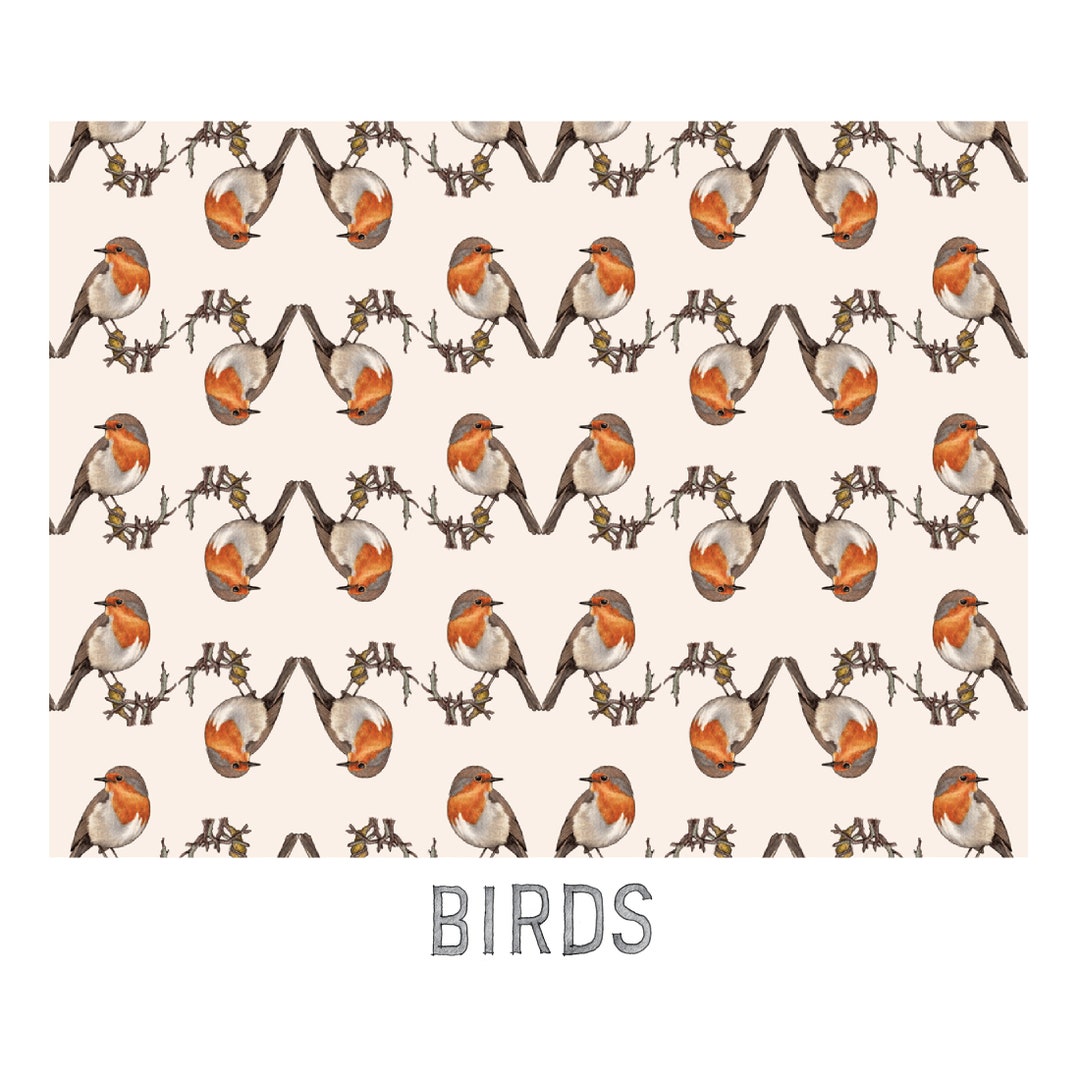 Birds: Gift Wrap Paper 13x19 Sheet / Robin / Bird / Birthday - Etsy