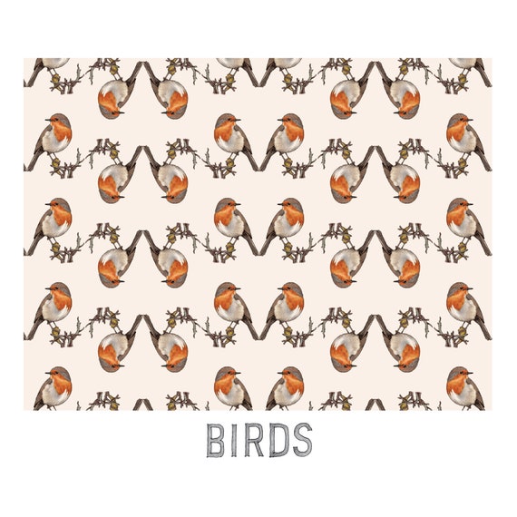 Birds: Gift Wrap Paper 13x19 Sheet / Robin / Bird / Birthday | Etsy