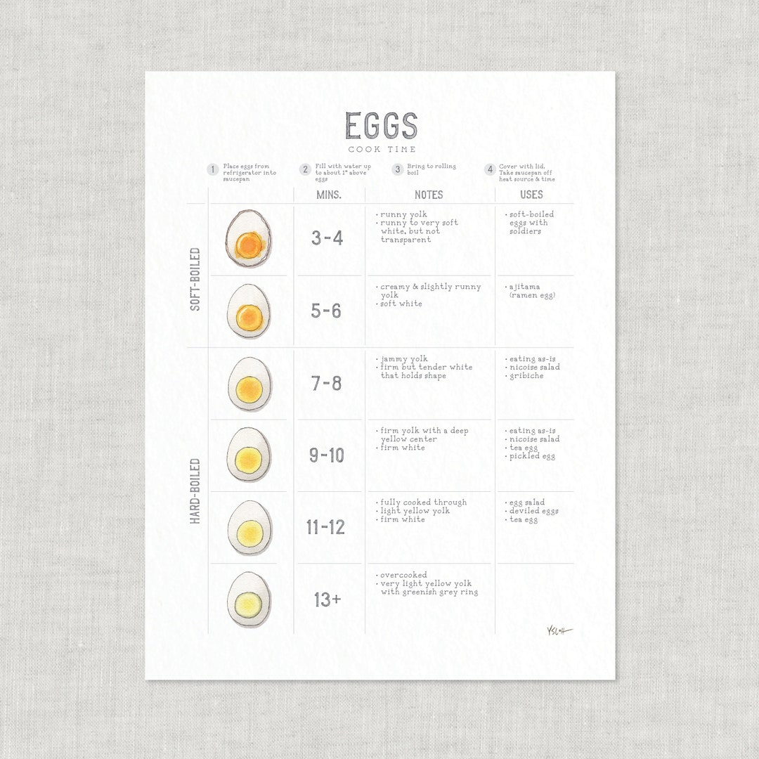 Eggs: Boiling Cook Time / 8.5 X 11 Art Print / Watercolor Illustration ...