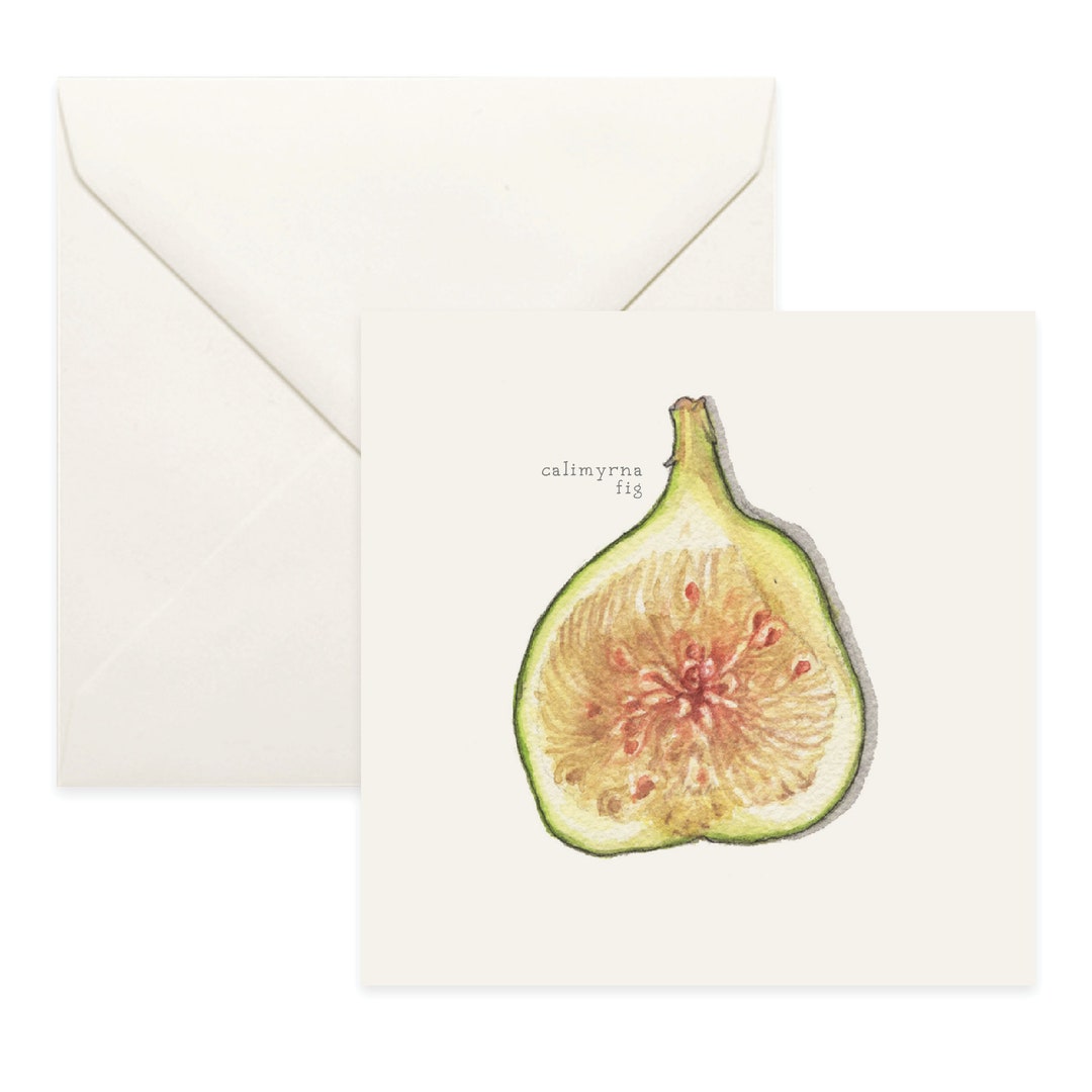 Figs: Calimyrna / Notecard / Thank You Card / Message Card / Birthday ...