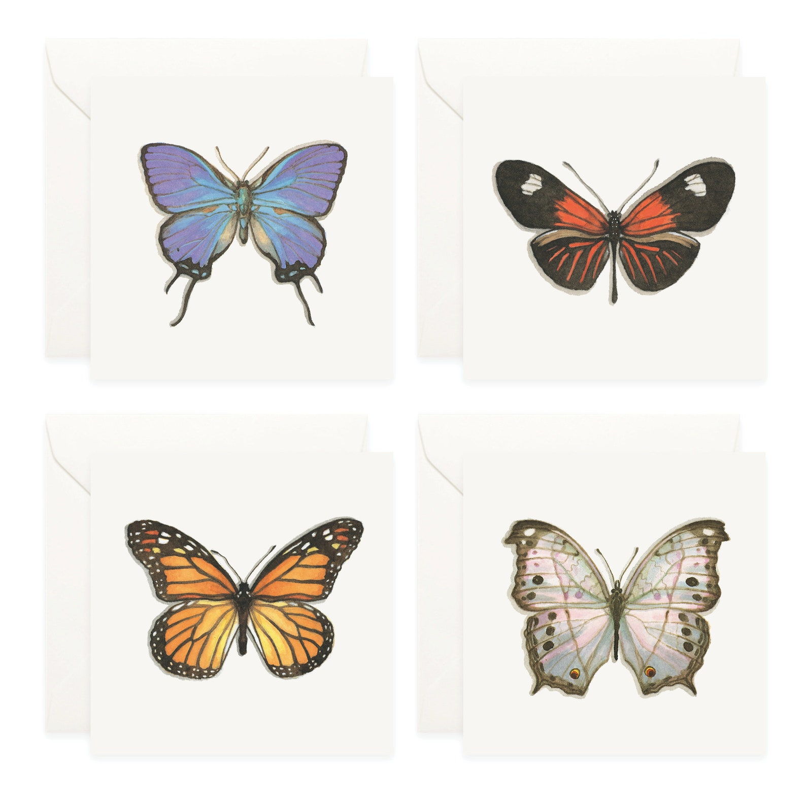 Butterflies & Moths: Mini Cards Box Sets / Gift Tags / Watercolor ...
