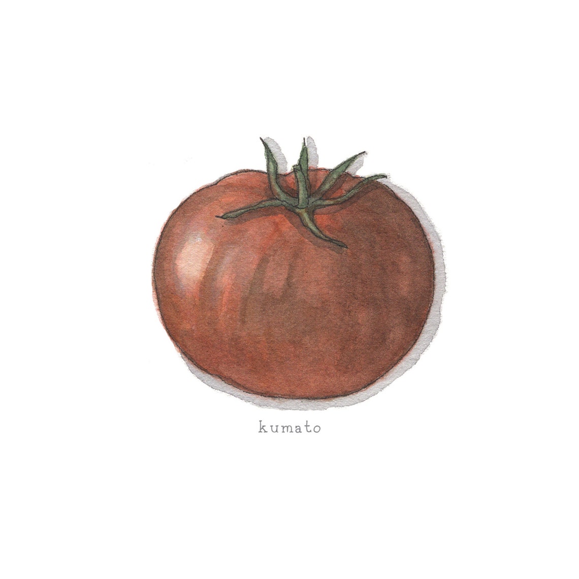 Tomatoes: Kumato / Tomato / Notecard / Thank You Card / - Etsy