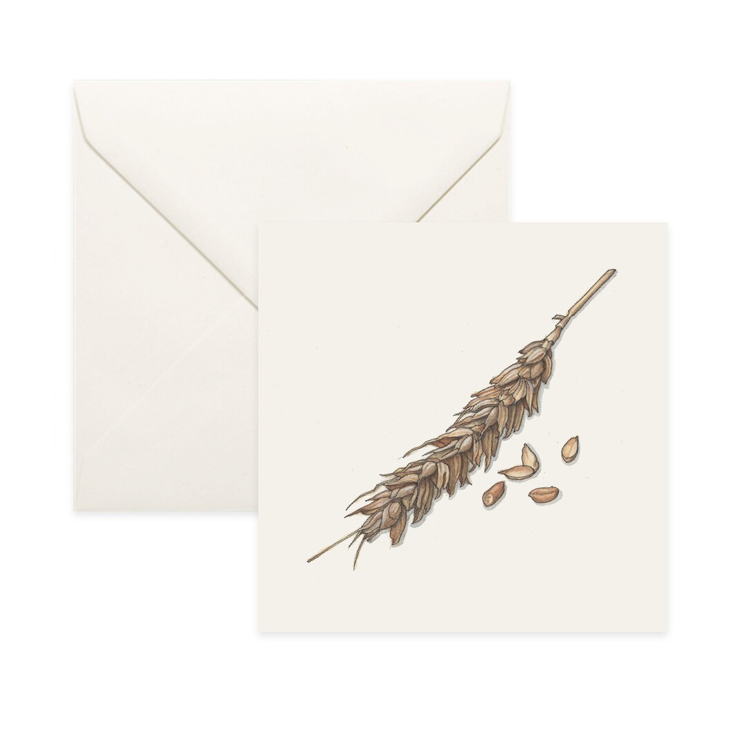 Ancient Grains: Wheat / Notecard / Thank You Card / Message - Etsy