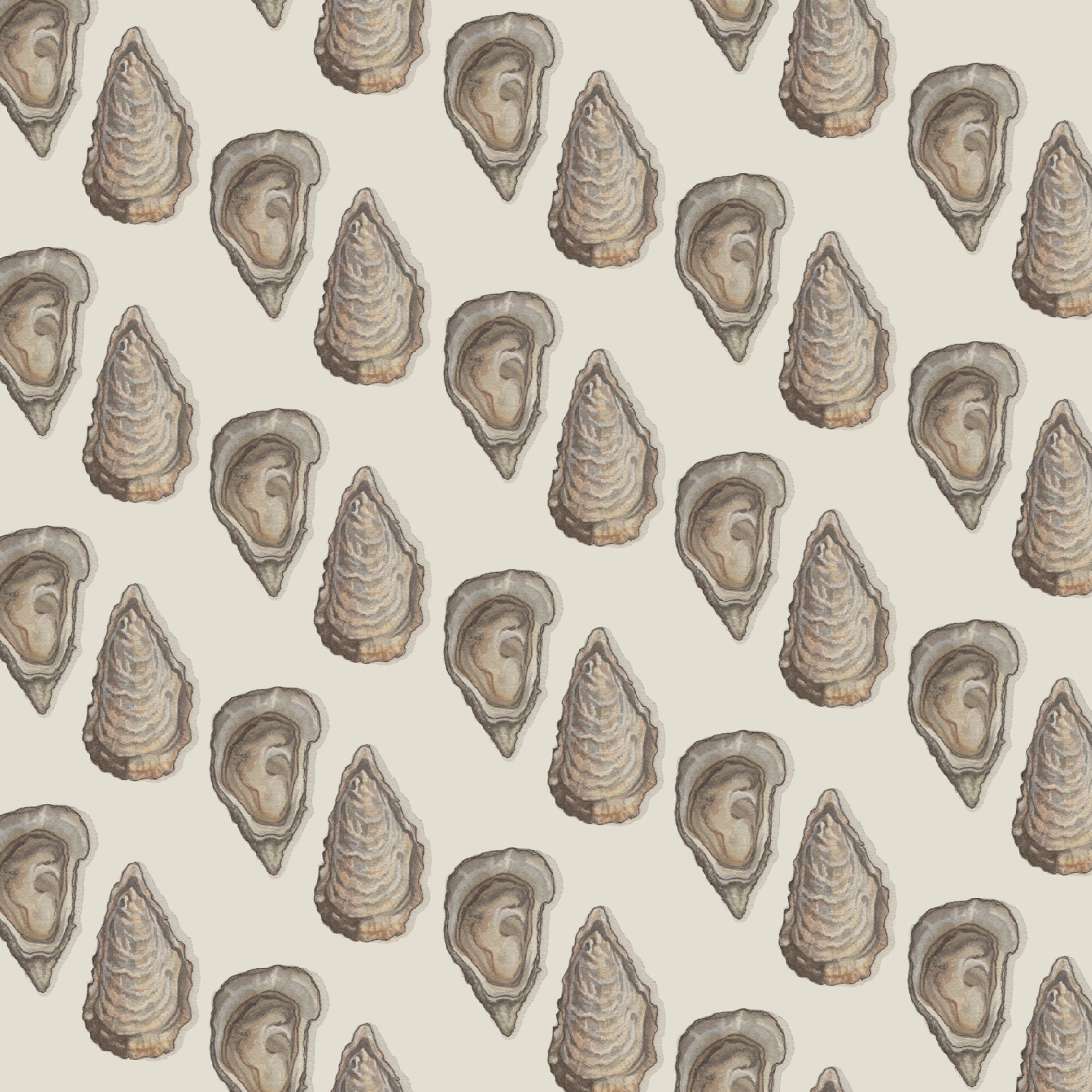 Oysters: Gift Wrap Paper 13x19 Sheet / Birthday / Parties / - Etsy