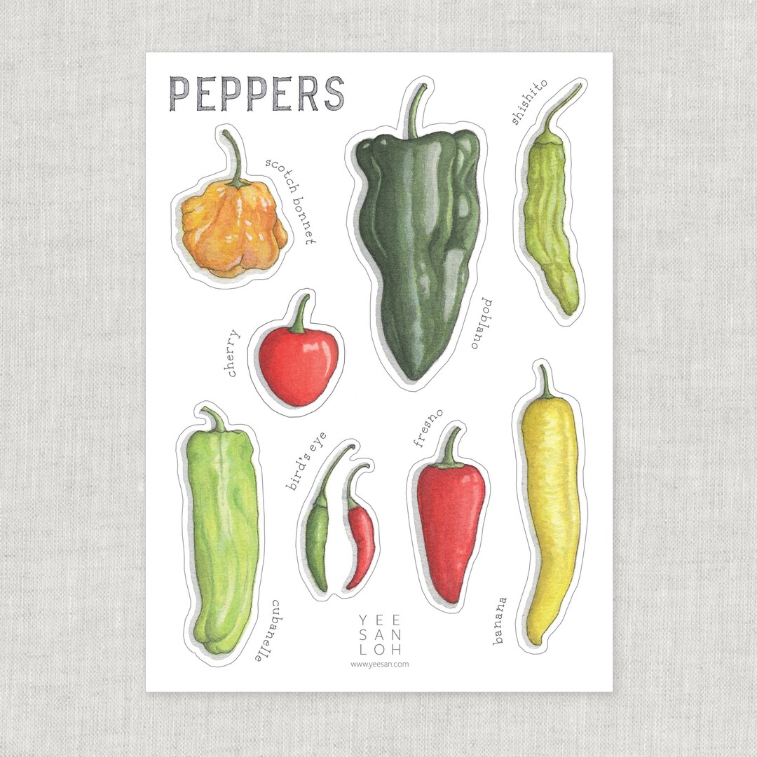 Stickers / Chile Peppers 01 / Scrapbooking / Arts & Craft / - Etsy