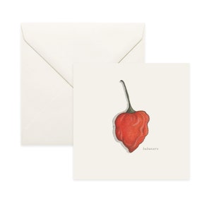 Peppers: Habanero / Chile / Notecard / Thank You Card / - Etsy