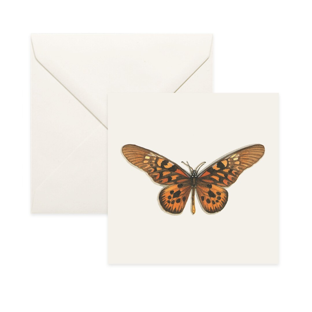 Butterflies: Giant African Swallowtail / Notecard / Thank You Card ...
