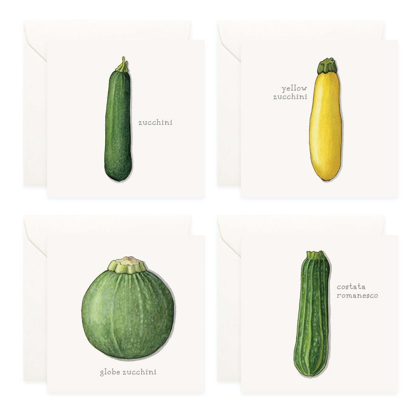 Squash (summer & Winter): Mini Cards Box Sets - Etsy