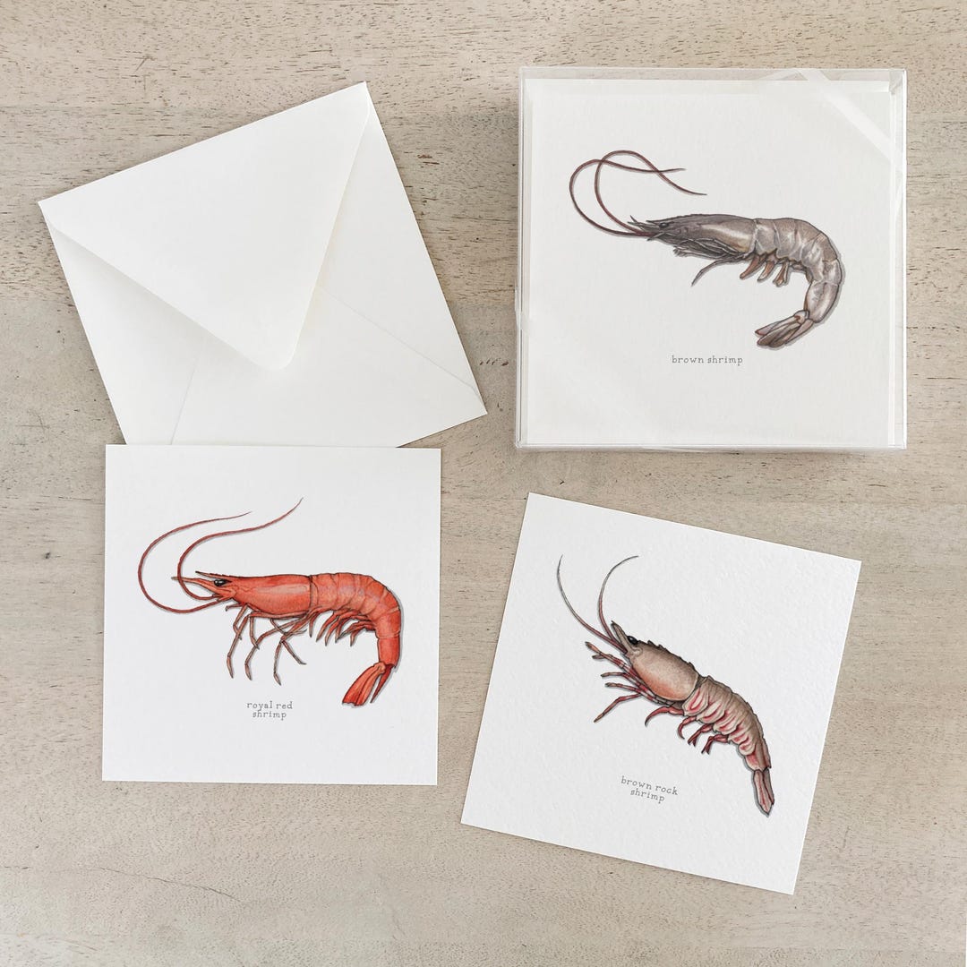 Shrimp & Prawns: Box Set Cards - Etsy