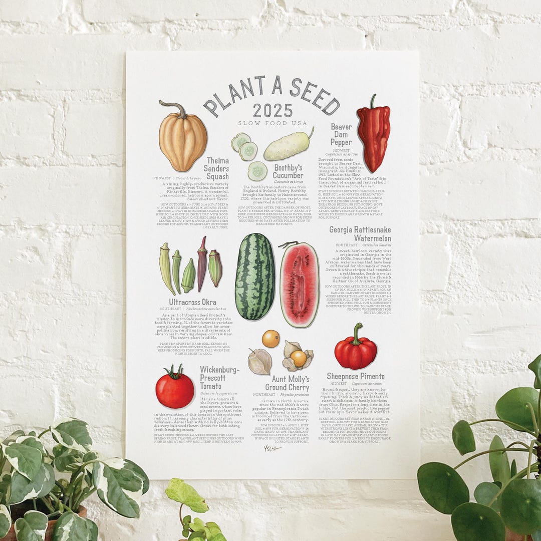 Plant a Seed: Poster / Food / Illustrations / Art Print / Home Decor ...
