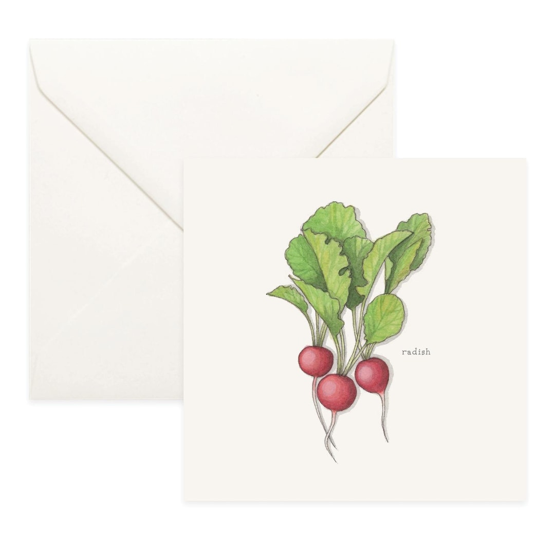 Radish: Cards - Etsy