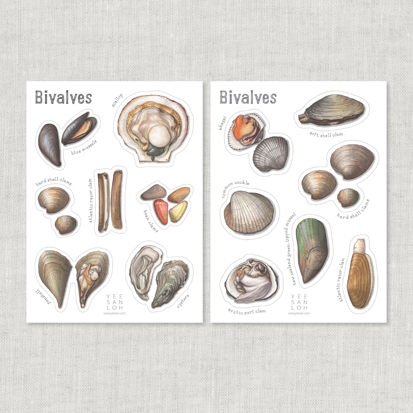 Stickers | Bivalves / Seafood / Shellfish / Clams / Oysters / Scallop ...
