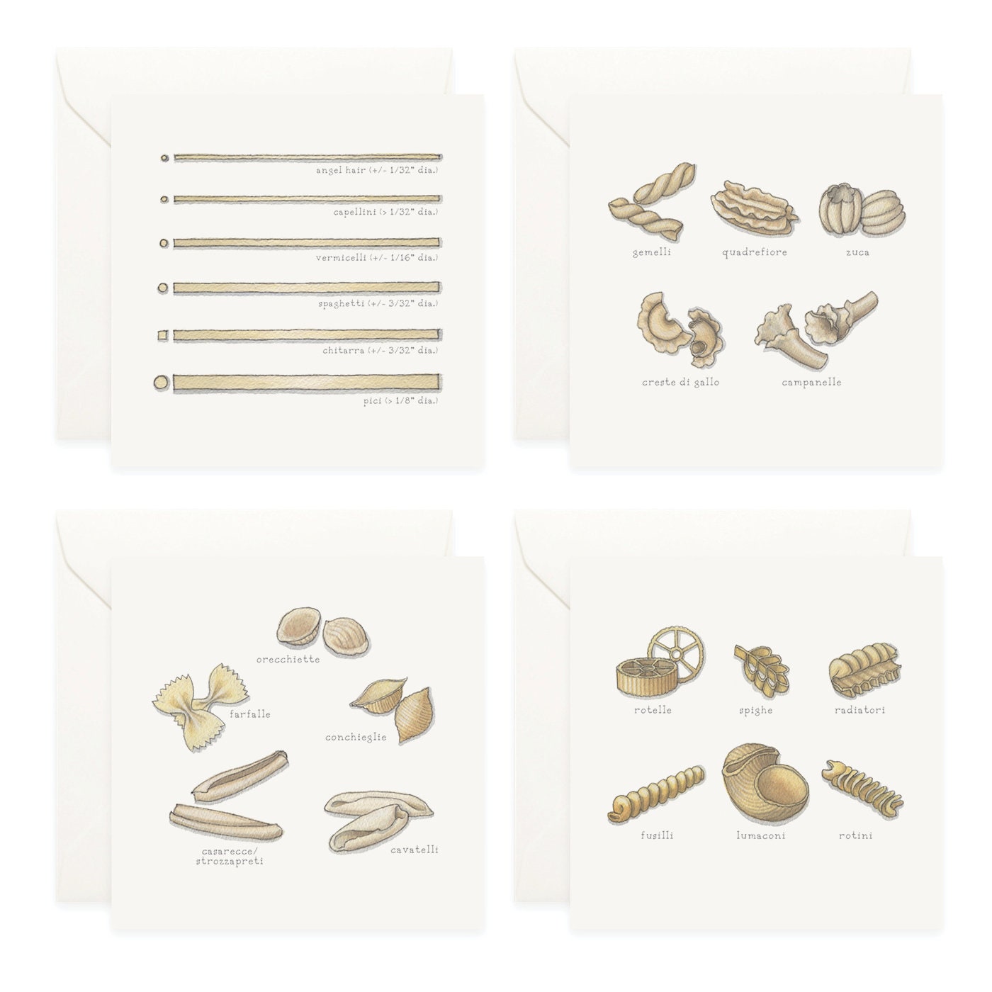 Pasta: Cards Box Set / Notecards / Flat Cards / Watercolor Illustration ...