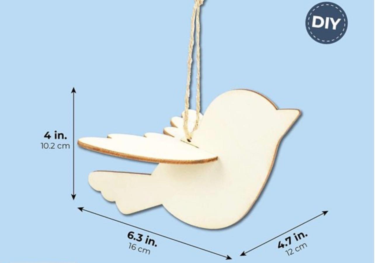 Red Bird DIY Complete Craft Kit, Art Kit, Paint Kit, Cardinal Craft for ...