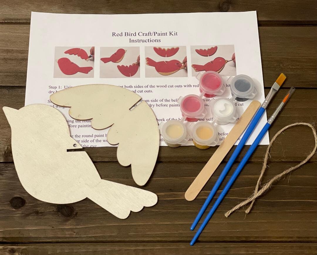 Red Bird DIY Complete Craft Kit, Art Kit, Paint Kit, Cardinal Craft for ...