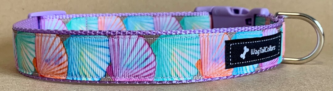 Pastel Seashells Dog Collar - Etsy