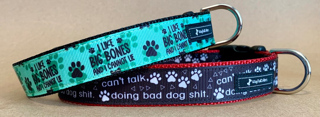 I Will Not Lie OR Can’t Talk Collar - Etsy