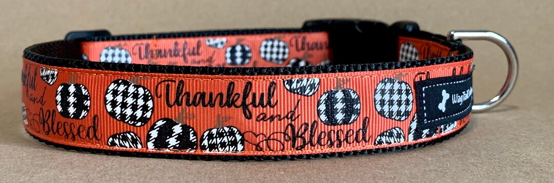 THANKFUL and BLESSED Orange Dog Collar - Etsy