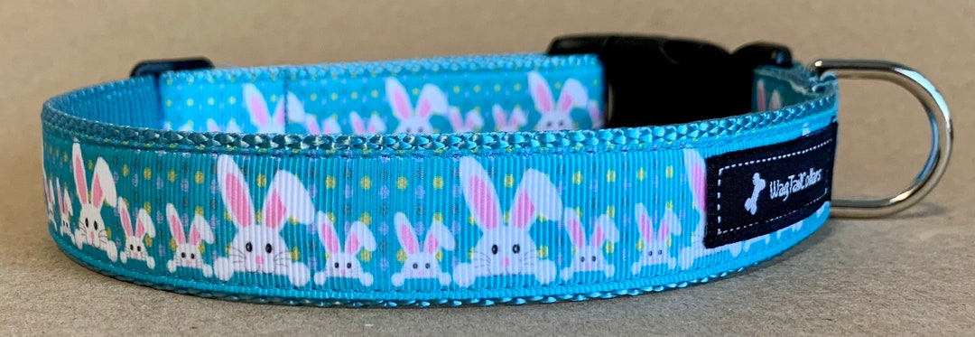 Peeping Bunny Dog Collar - Etsy