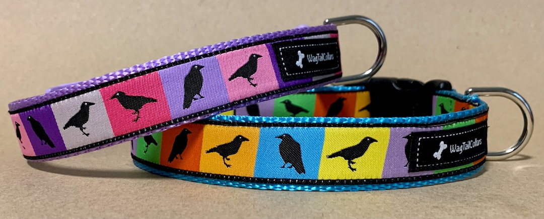 Raven or Crow Dog Collar - Etsy
