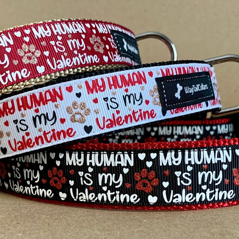 Customized Collars for Humans - Etsy