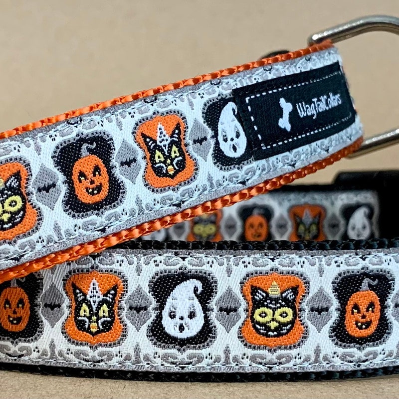 Halloween Dog Collar - Etsy