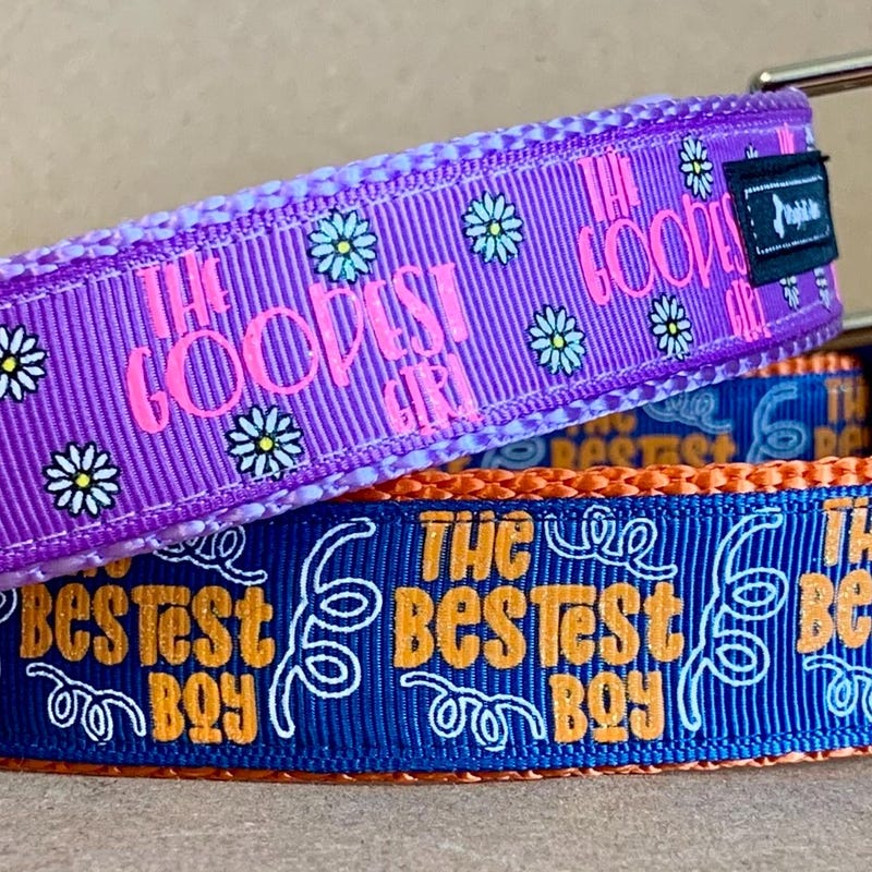 The Goodest Boy Collar - Etsy