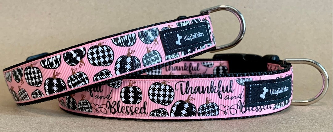 Thankful & Blessed Pink Dog Collar - Etsy