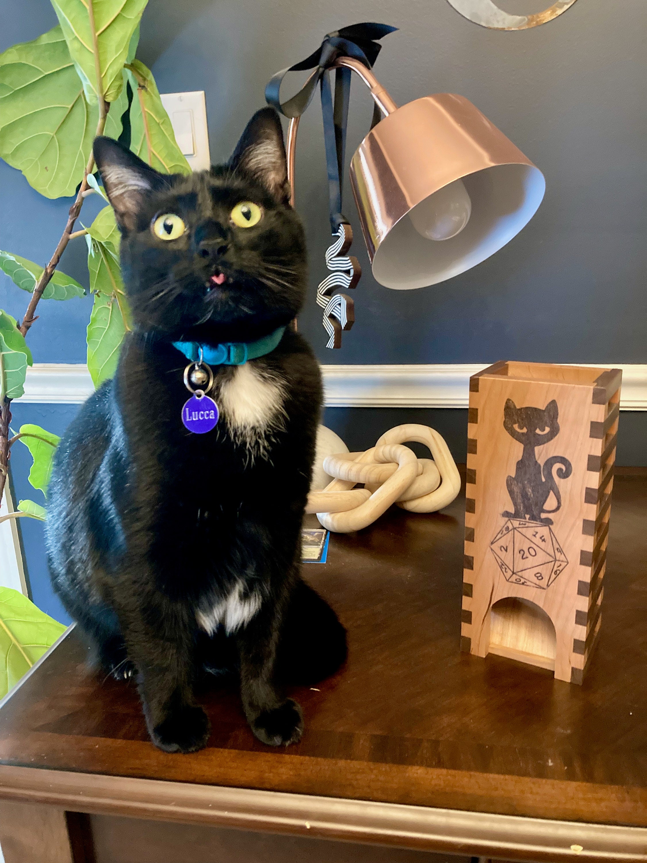 Cute Black Cat D20 Dice Tower Dnd Wood Dice Roller, Cozy Gaming Setup ...
