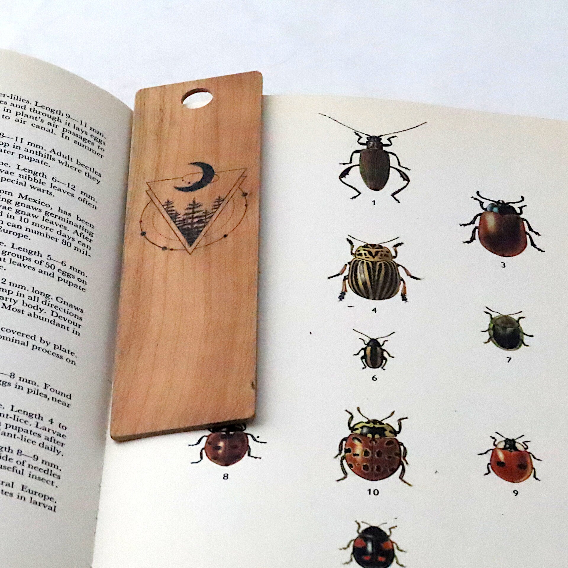 Nature Inspired Bookmarks Wood, Including the Tree of Life, Flowers ...