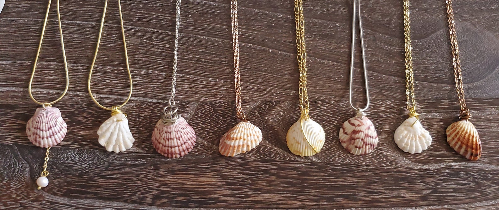 Broad-ribbed Cardita Seashell Rose Gold Dainty Chain - Etsy