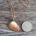 Broad-ribbed Cardita Seashell Rose Gold Dainty Chain - Etsy