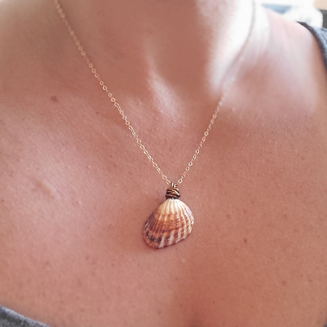 Broad-ribbed Cardita Seashell Rose Gold Dainty Chain - Etsy