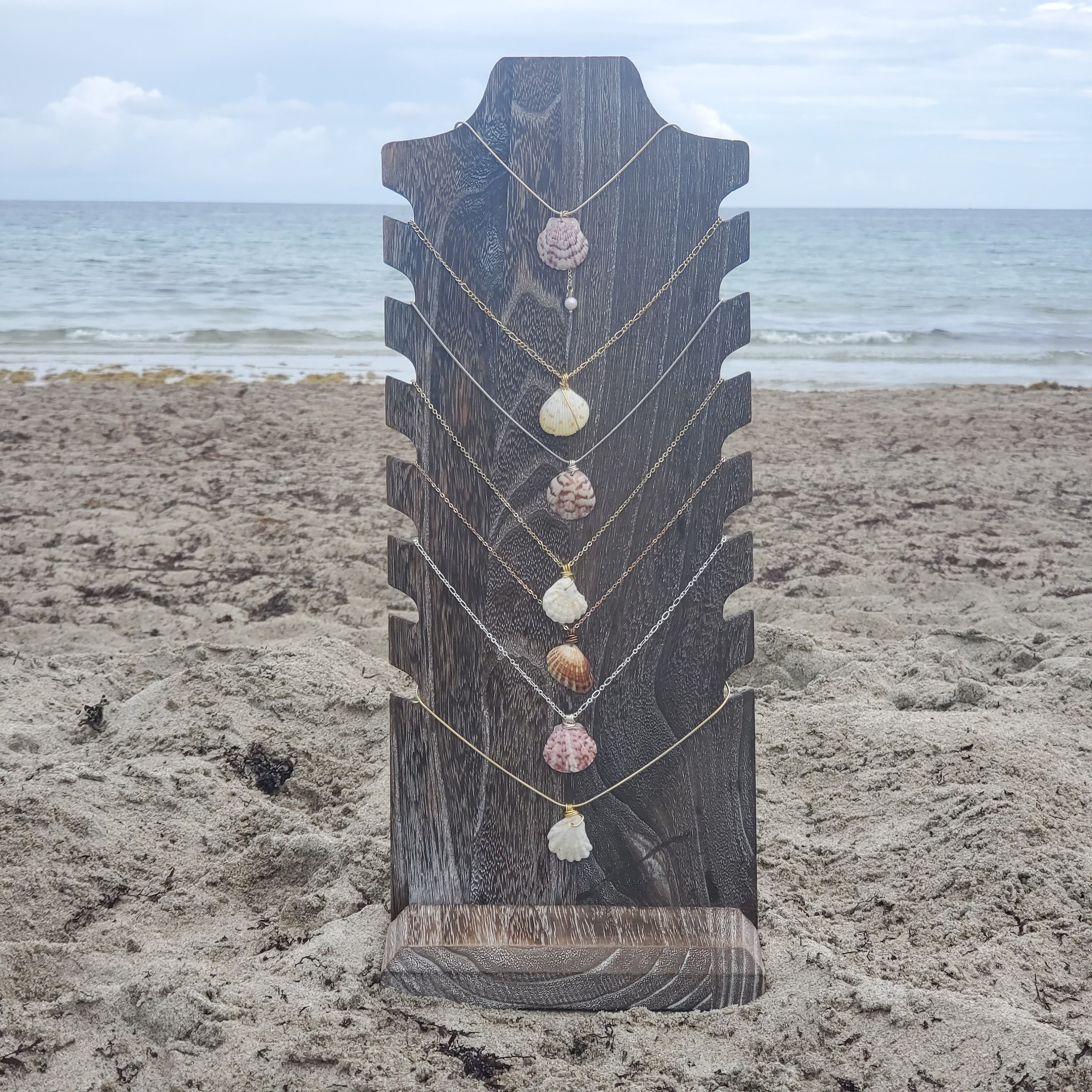 Broad-ribbed Cardita Seashell Rose Gold Dainty Chain - Etsy