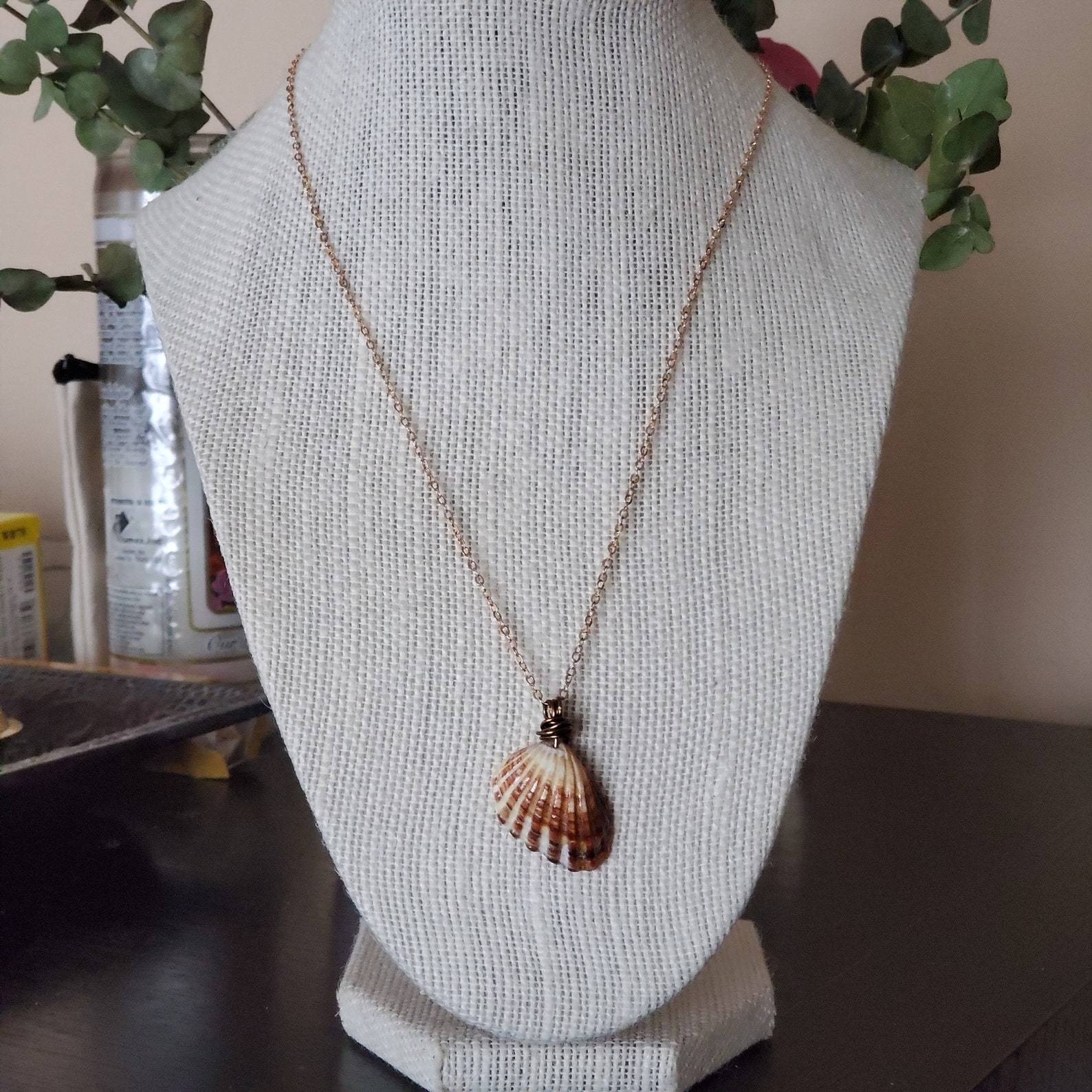 Broad-ribbed Cardita Seashell Rose Gold Dainty Chain - Etsy