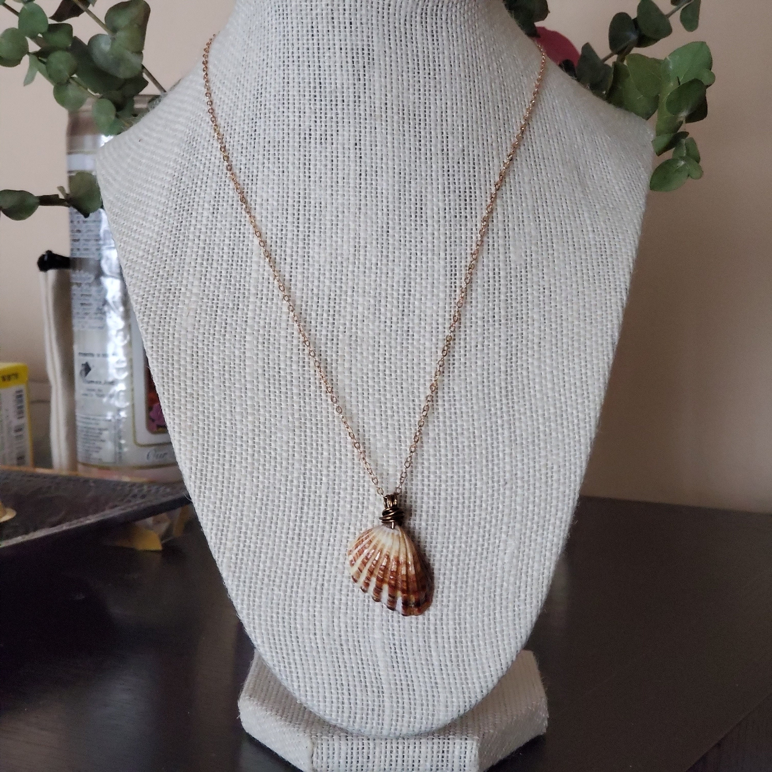 Broad-ribbed Cardita Seashell Rose Gold Dainty Chain - Etsy