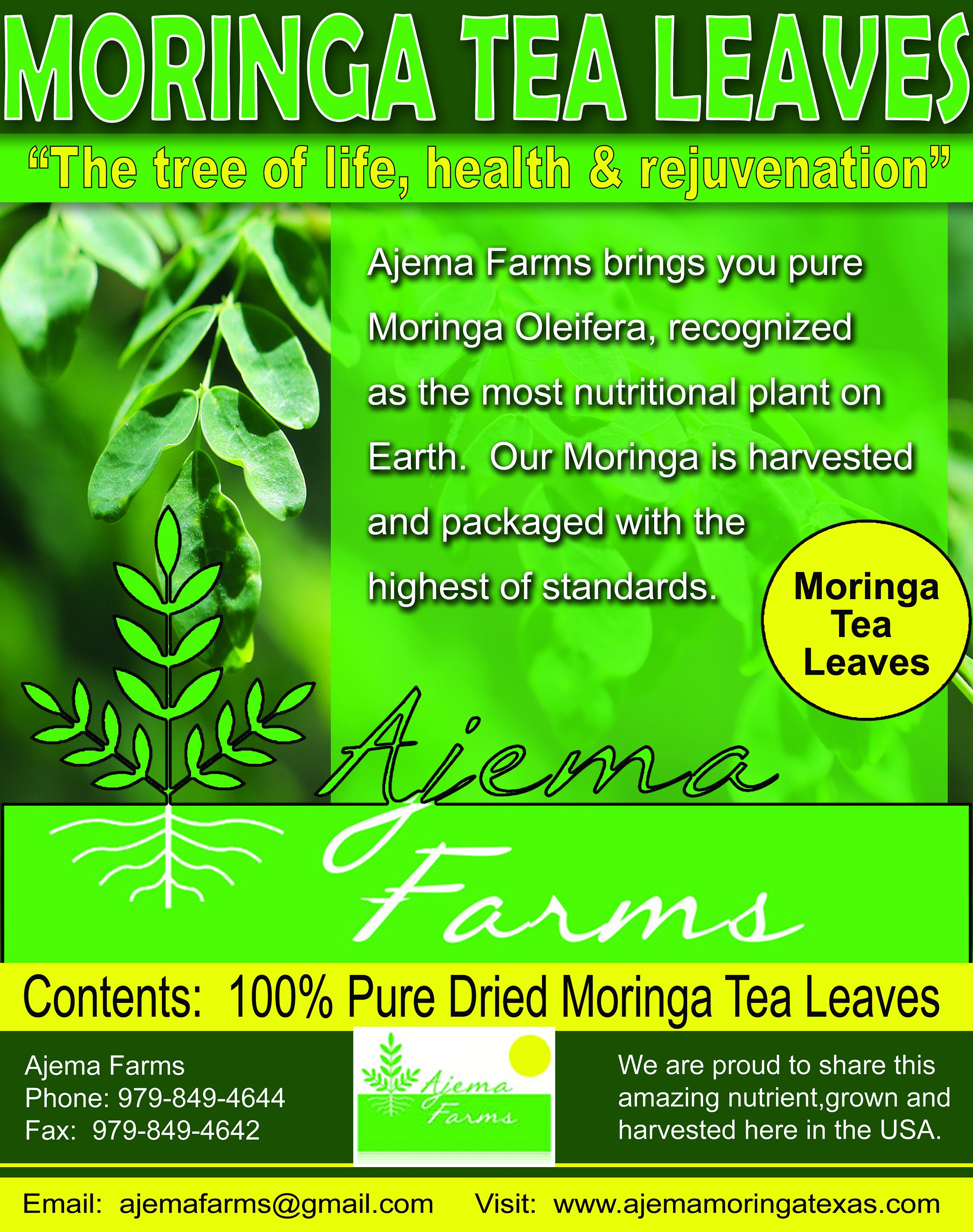 Moringa Tea Benefits