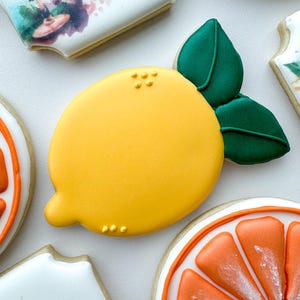 Orange Aperol Spritz Personalized Sugar Cookies, Retro Vintage Citrus ...