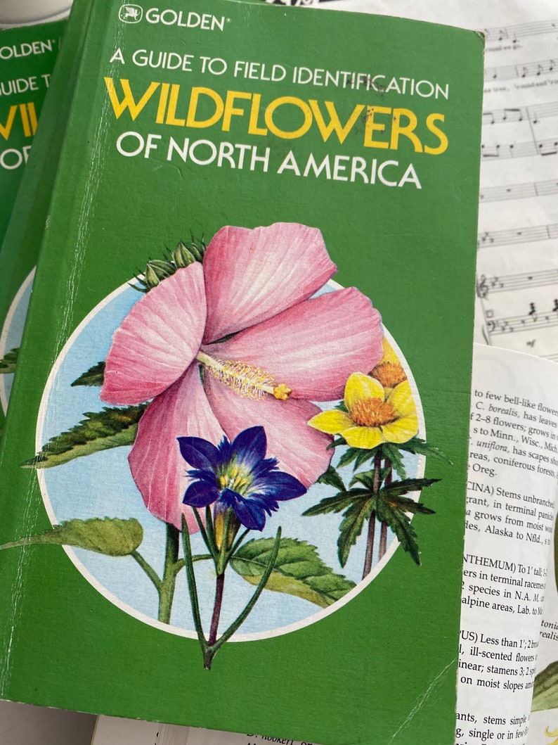 Golden Guide to Field Identification Wildflowers of North America ...