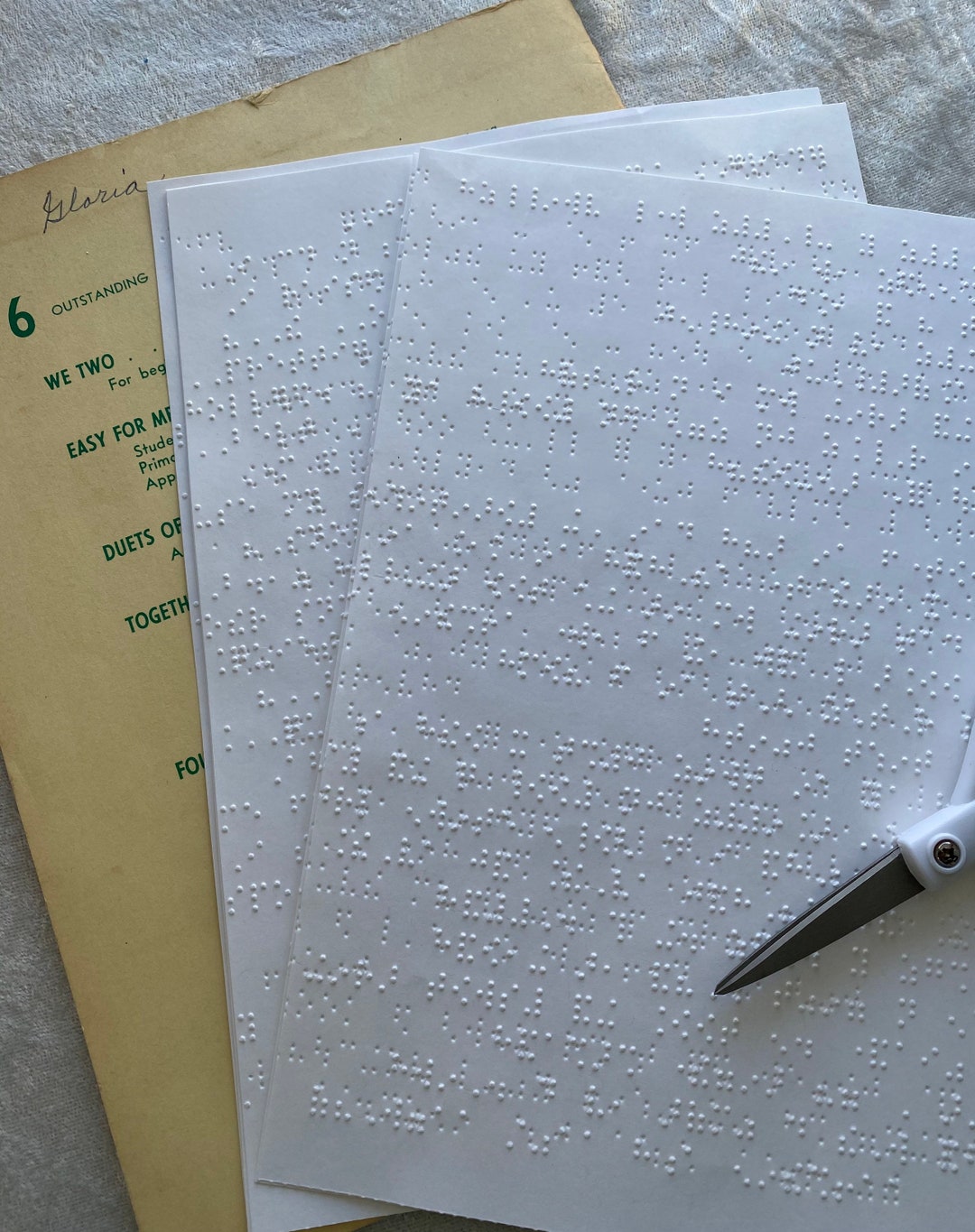 6 Sheets of Braille Paper, Paper for Crafting, Junk Journals - Etsy
